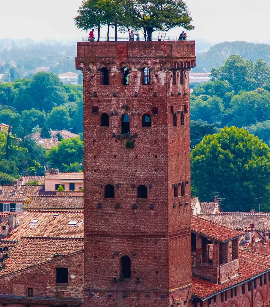 Best Things to Do in Lucca - Globe Voyaging